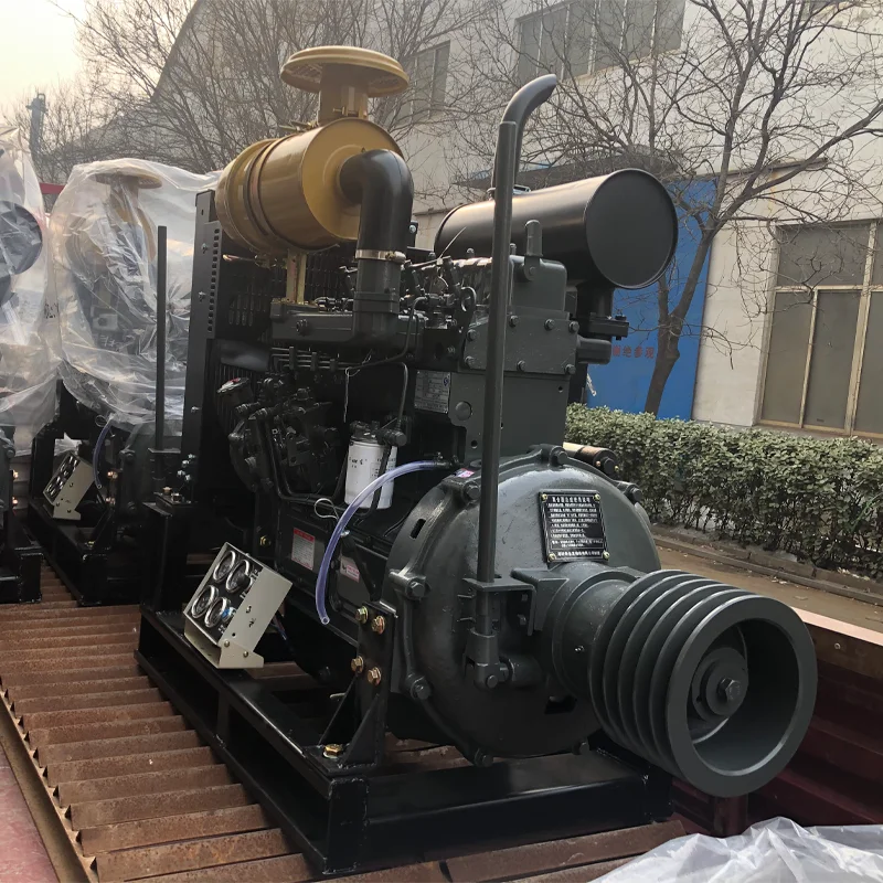 Stationary Diesel Engine with Clutch and Pulley for Irrigation