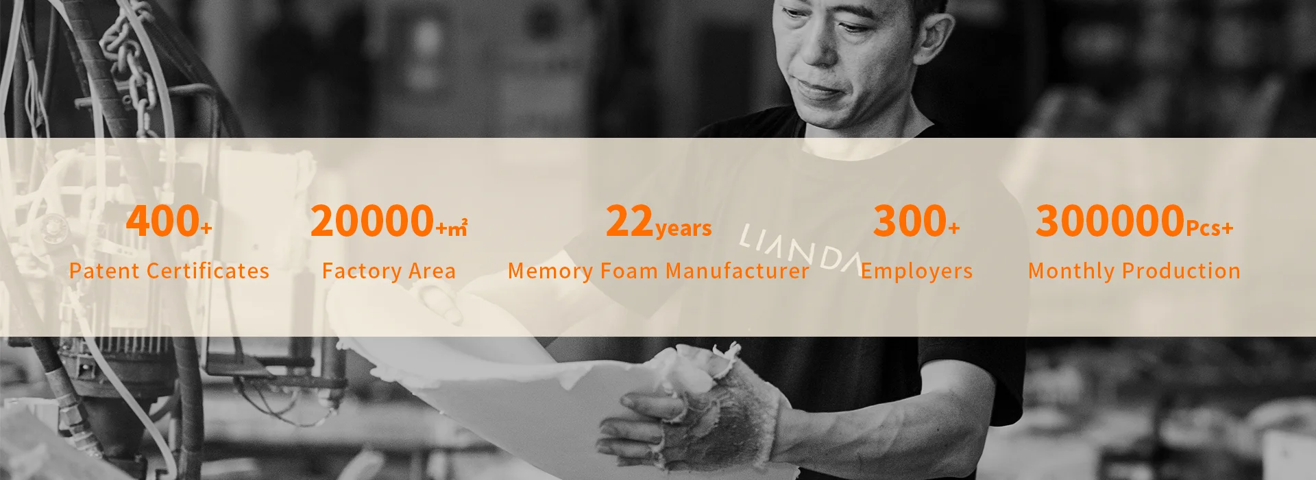 Shenzhen Lianda Technology Industrial Co., Ltd. - Memory Foam Pillow ...