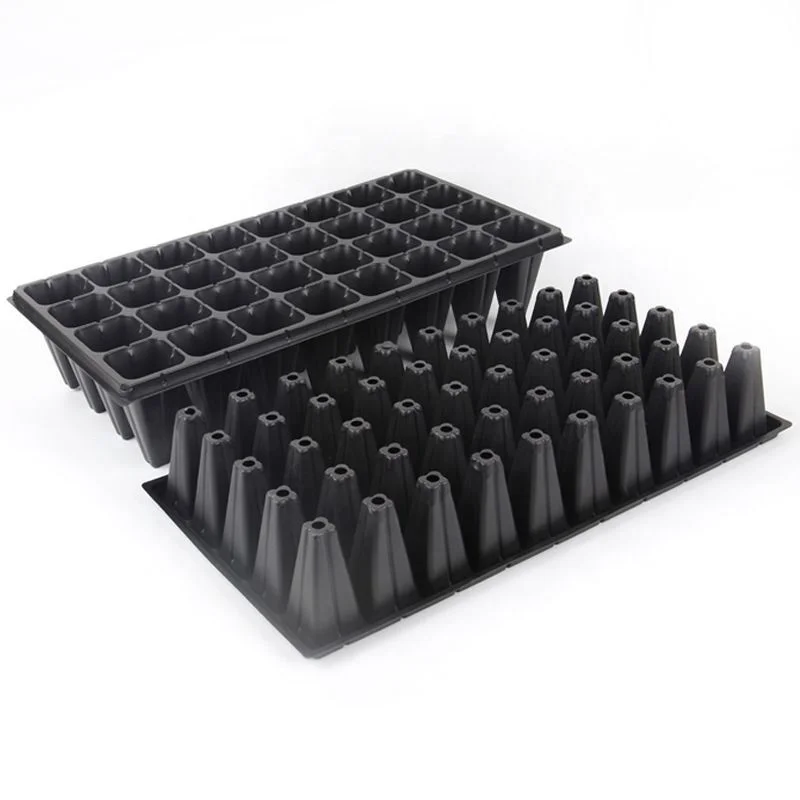 Evergreen PS Seedling Trays - Ideal for Planting Success