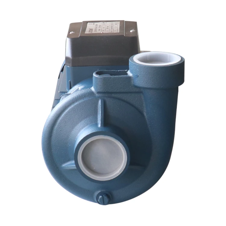 Dkm Single Phase Sewage Centrifugal Water Pump 220V for Irrigation and ...