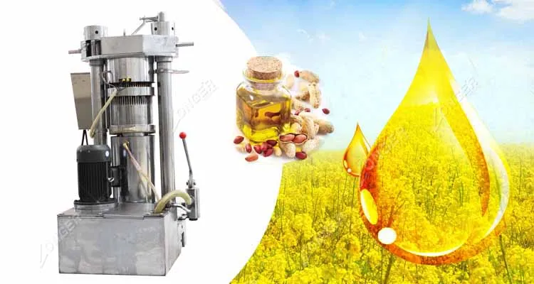 New Design Fish Oil Extraction Machines Moringa Ginger Small Scale ...