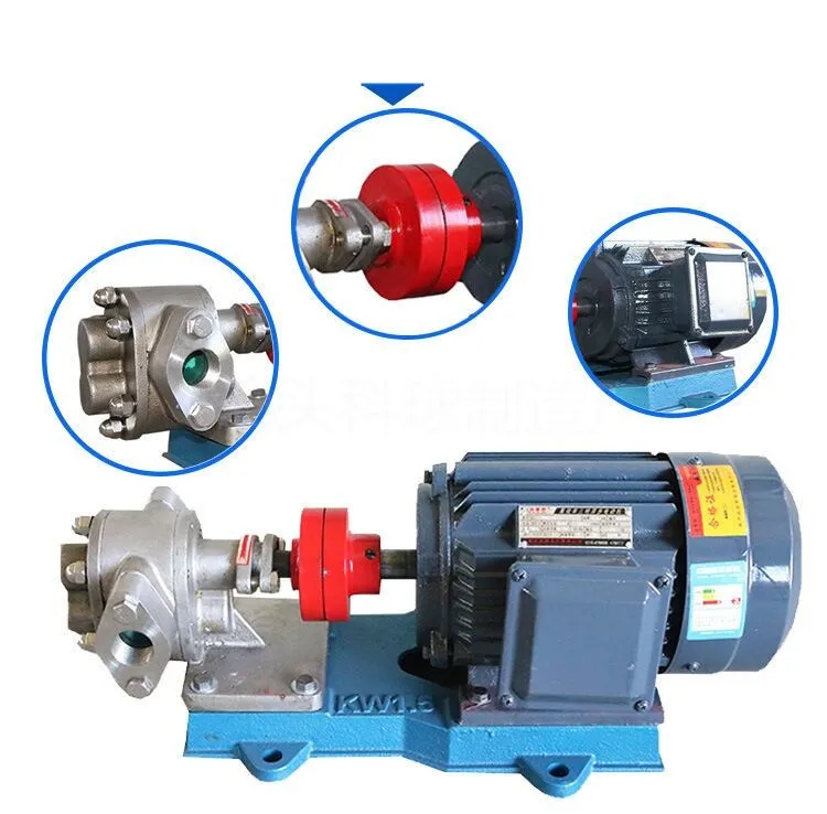 Gear Pumps Food Grade Oil Pump Stainless Steel Electric High Pressure ...