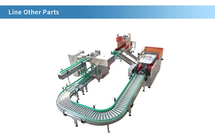 Auto Top Load Box Carton Case Packer For Lube Oil Cartons Bags In China ...