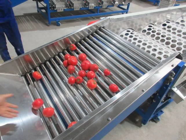 5 Grades Small Round Fruit Tomato Size Sorter Sorting Machine Price ...
