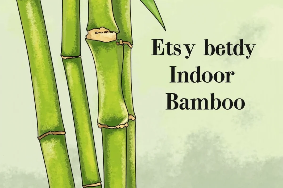 How to Plant Indoor Bamboo: Step-by-Step Guide