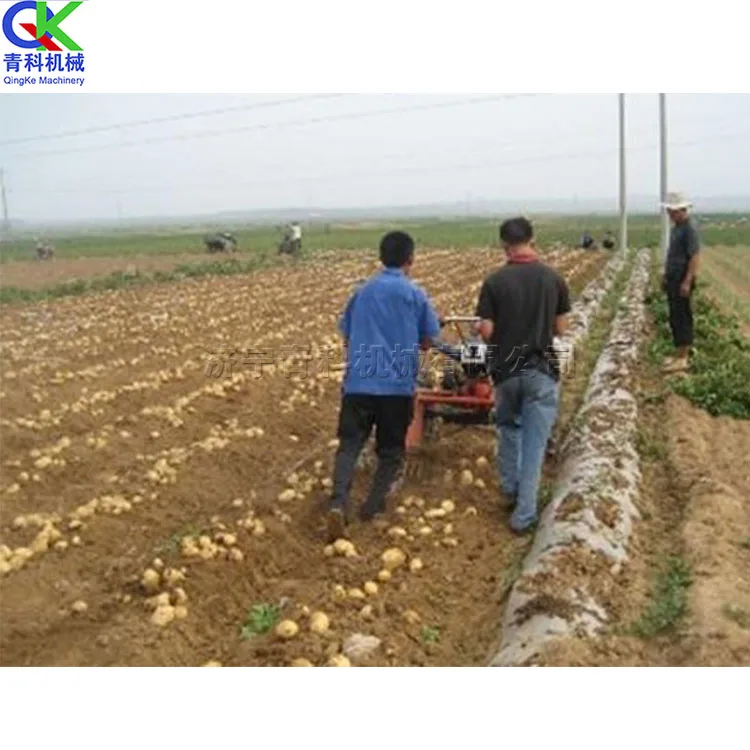 Tractor Mounted Automatic Potato Harvester Digging Onions Garlic ...