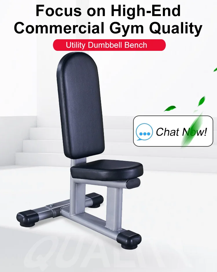 Gym Bench Utility Bench Multi Purpose Bench - Buy Dumbbell Bench Sit Up ...