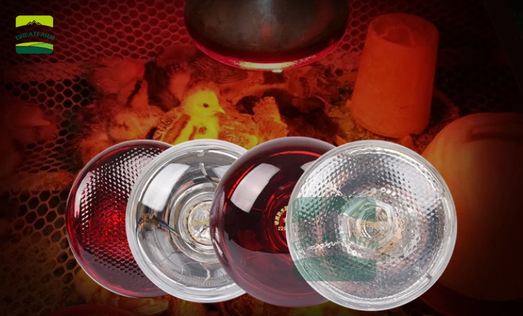 GREAT FARM Multi-power Heating Lamp for Pigs in Pig Farm Explosion ...