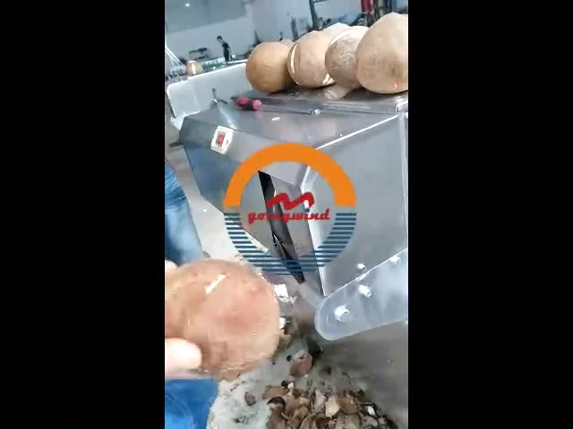 Automatic Coconut Dehulling Shucking Decorticating Machine Auto ...