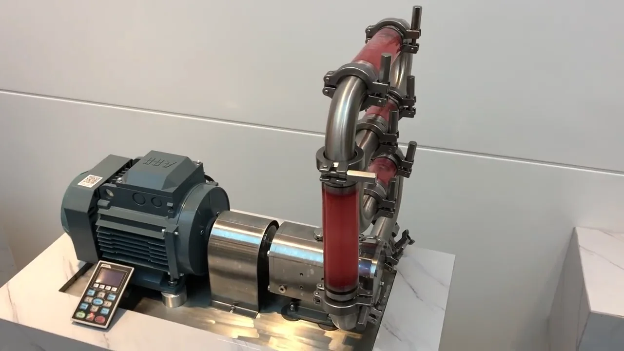 Mini Type Lobe Pump Whole Stainless Steel Rubber Lobe Pump - Buy Rubber ...