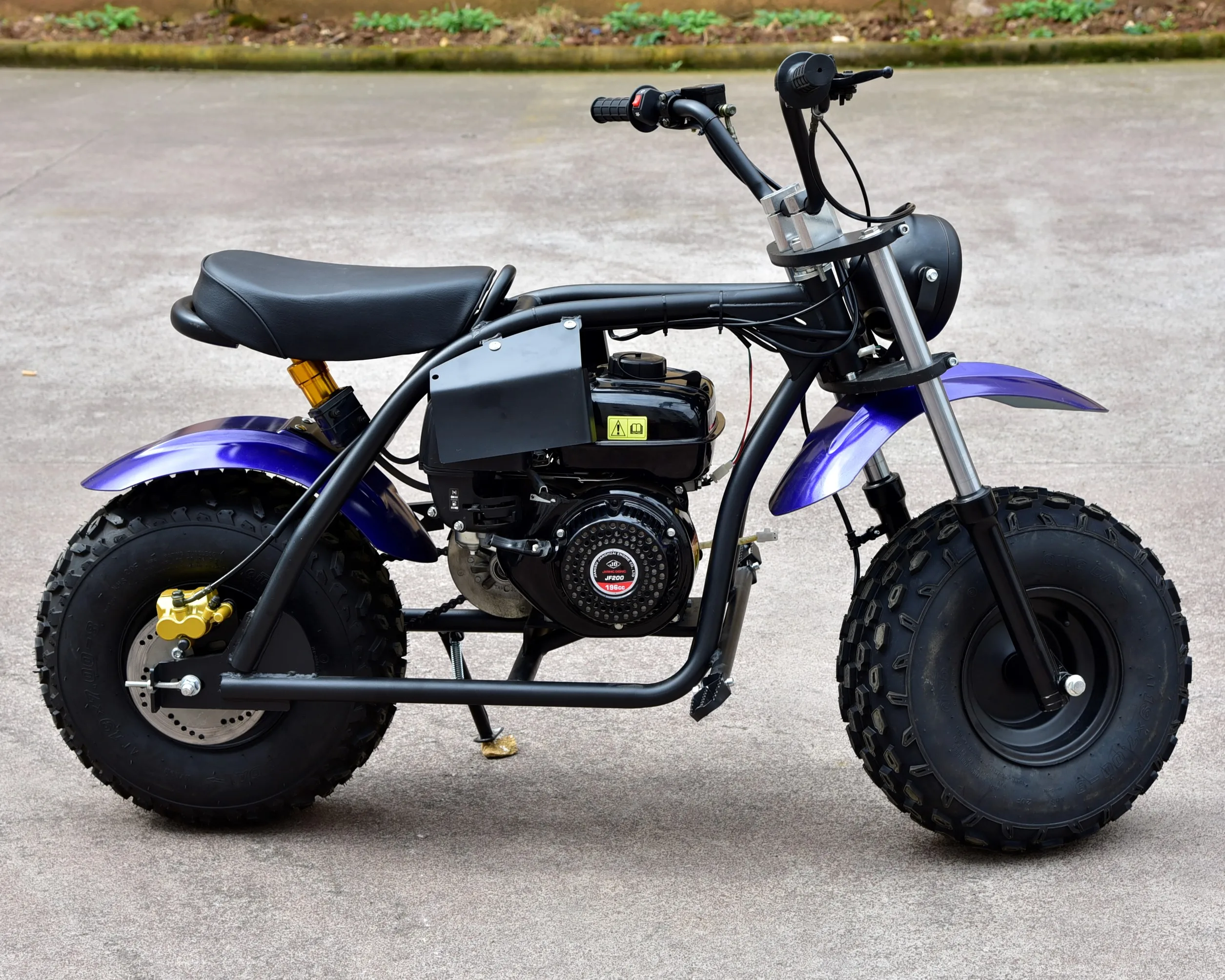196CC Mini Bike - Fun for Kids & Adults This Christmas