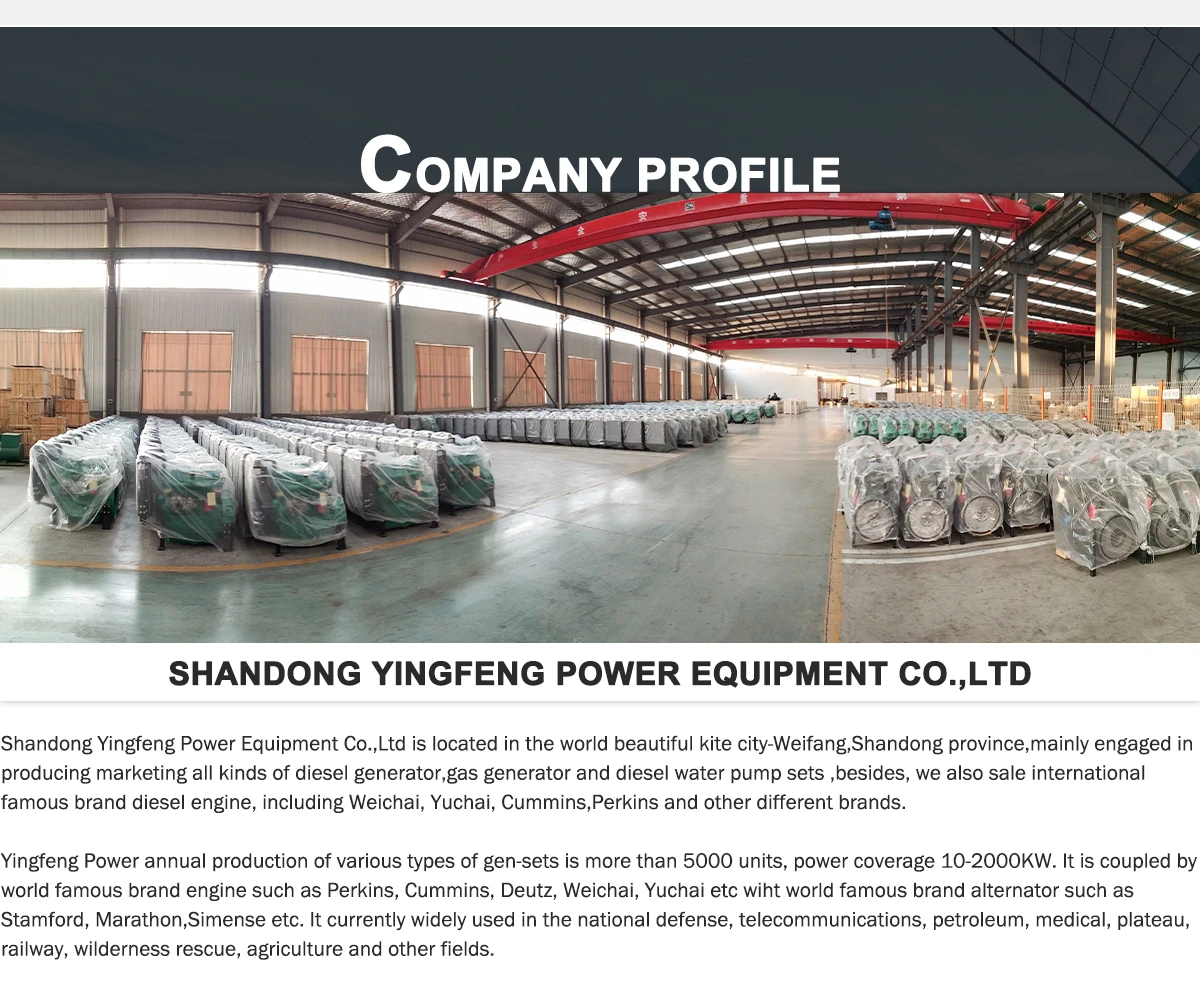 Shandong Yingfeng Power Equipment Co., Ltd. - Diesel Generator Set, Gas ...