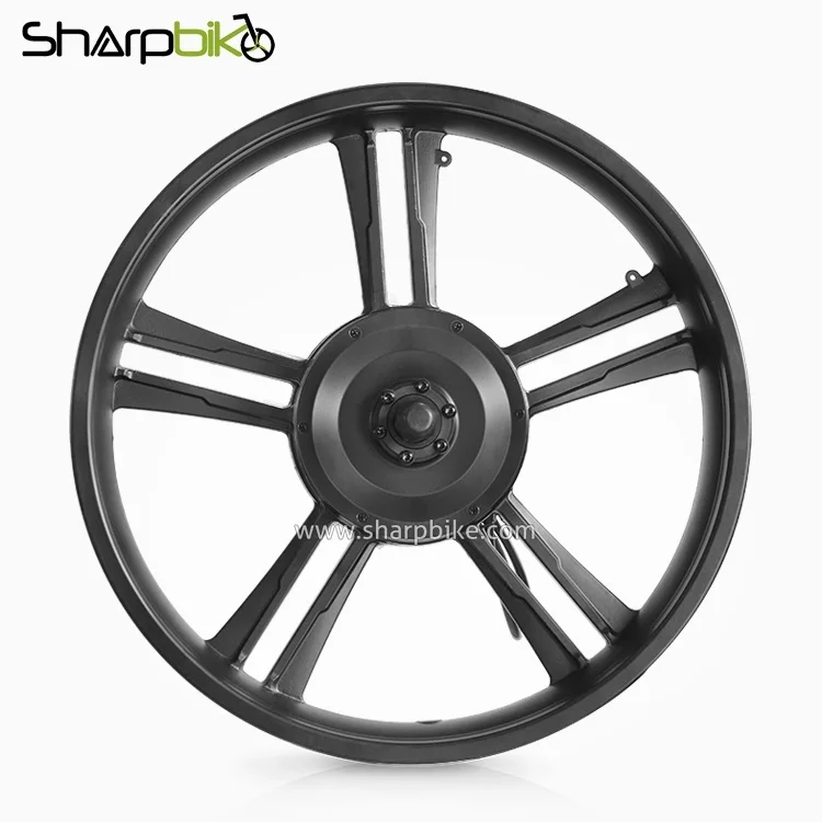 20 Inch Fat Tire Electric Bike Intergrated Aluminium Wheel With 350w ...