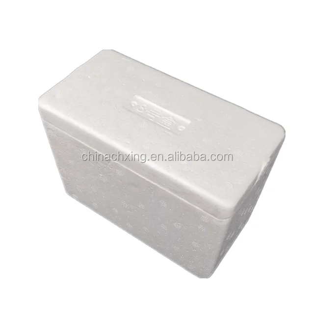 China Eps Styrofoam Ice Cream Box Polystyrene Packaging Cooler ...