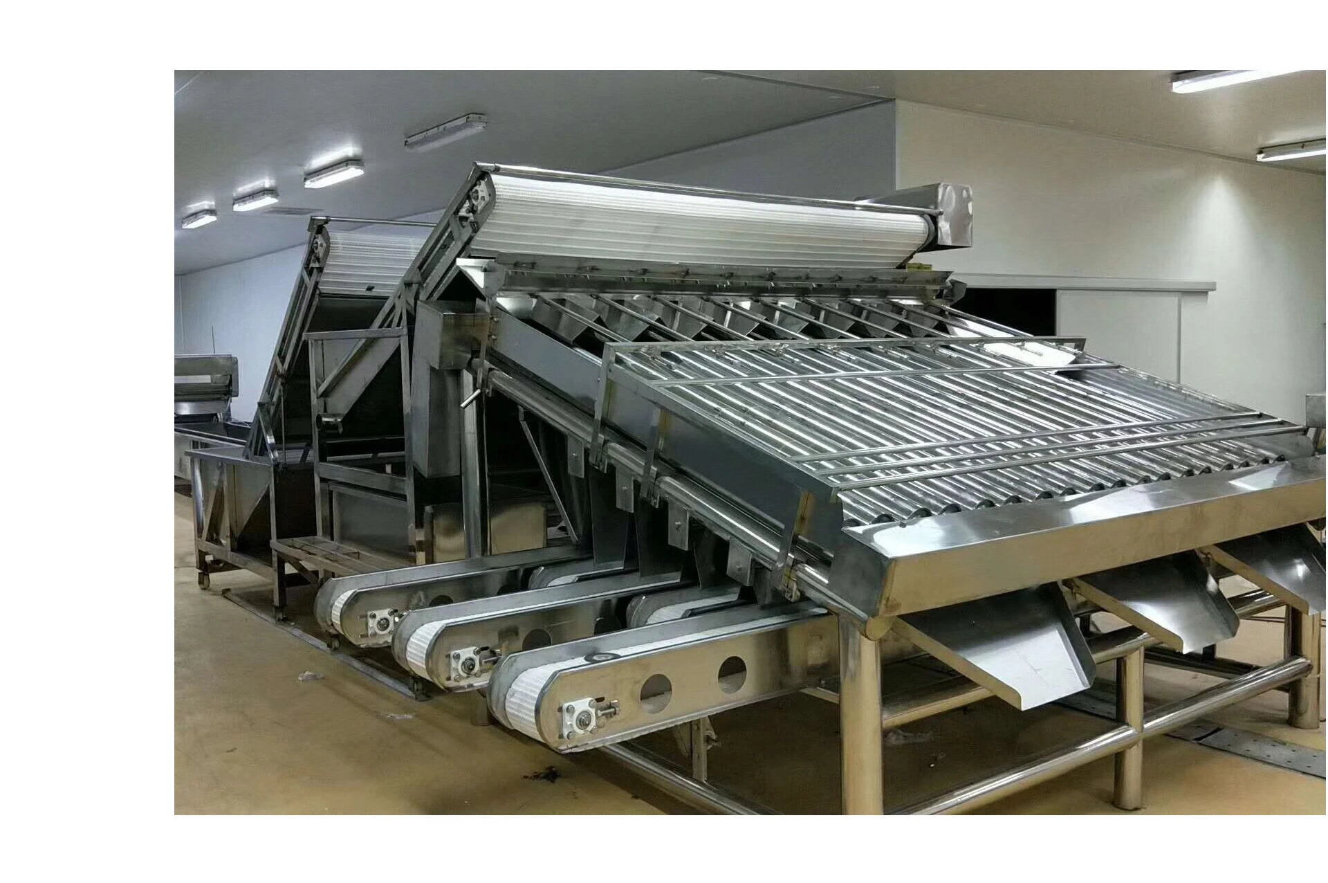 Shrimp Sorting Machine 1000kg/h Grading Machine Stainless Steel - Buy ...