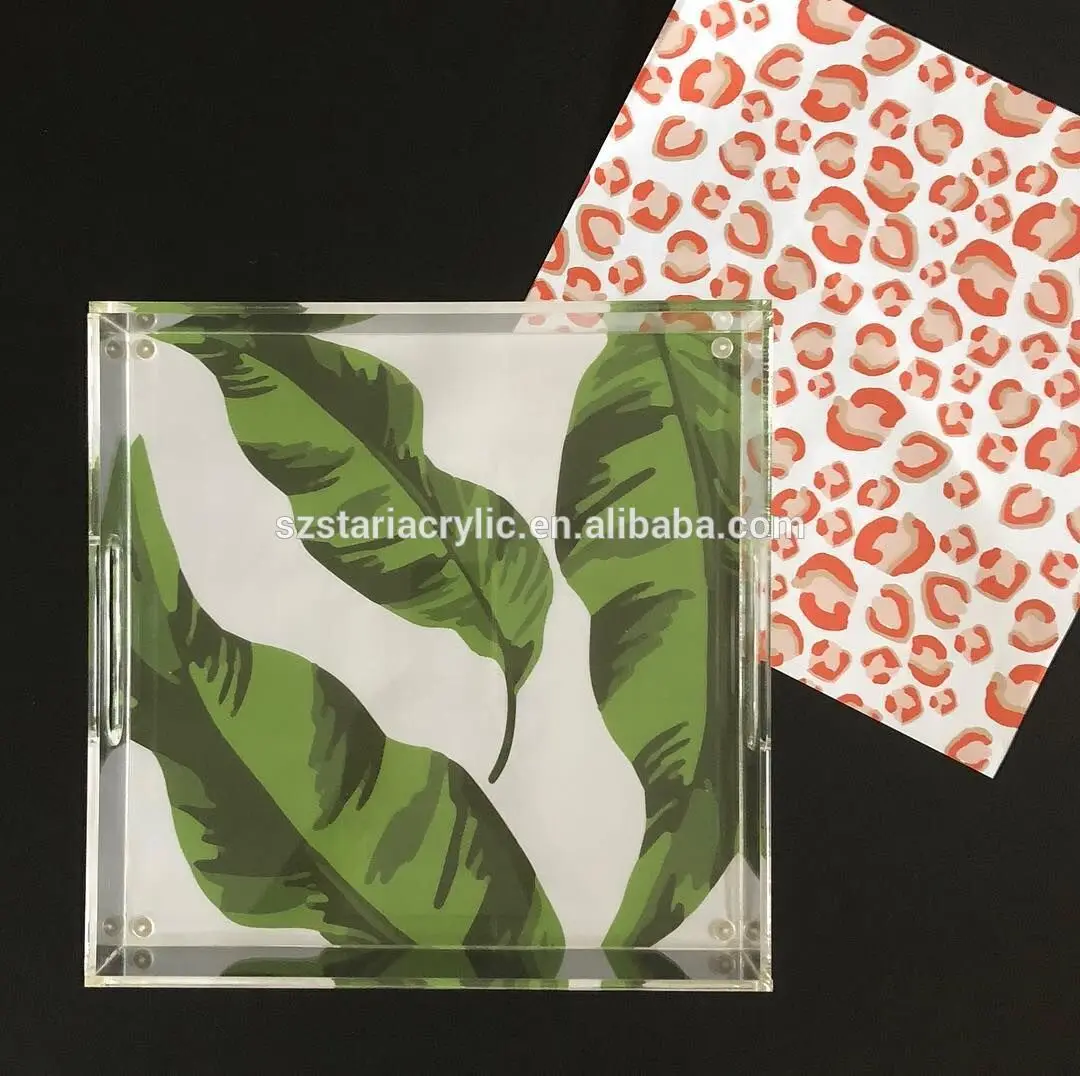 Mini Square Clear Acrylic Tray with Insert Perspex Serving Tray