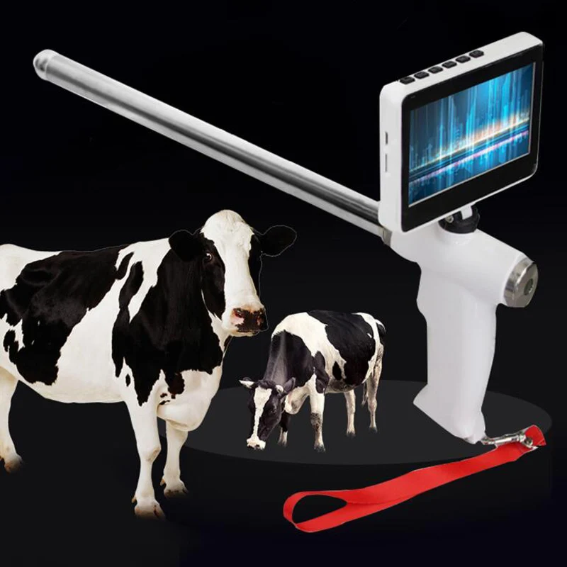 Veterinary Artificial Insemination Equipment for Cattle