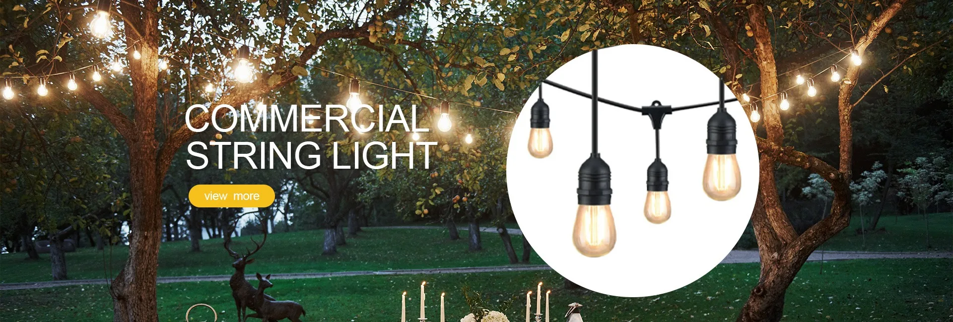 Ningbo Zhenjia Electric Co., Ltd. - string lights, power cord