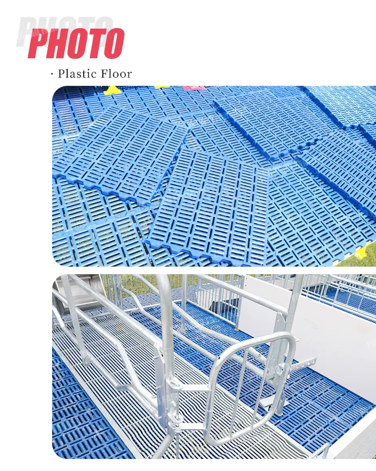 Durable Pig Flooring - Swine Sheep Farm Farrowing Crates
