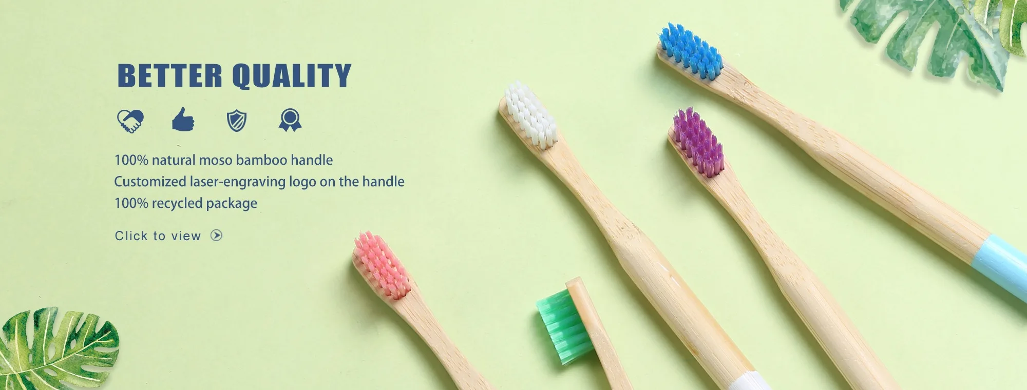 Pesitro Healthcare Products Co., Ltd. - Toothbrush, Interdental Brush