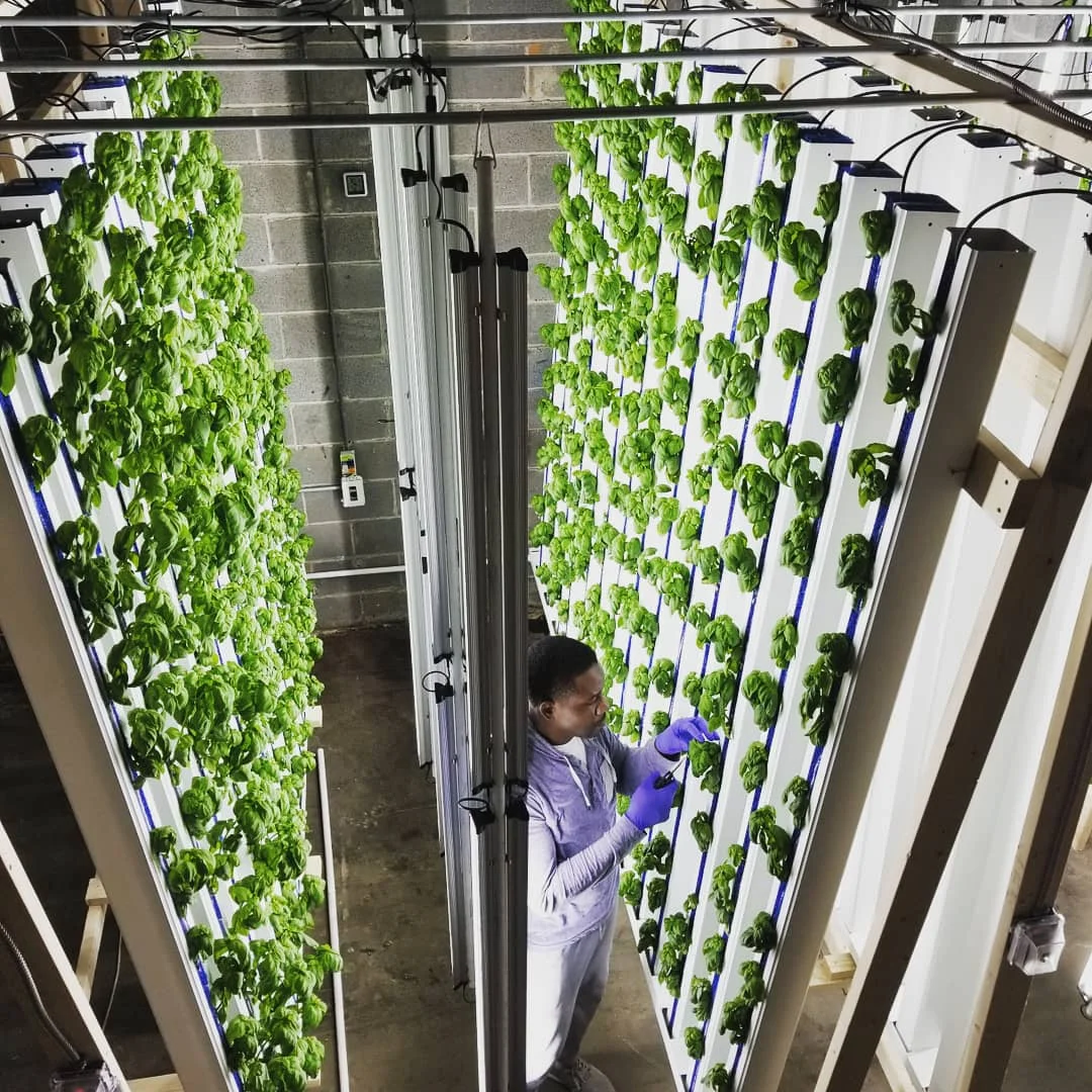 Vertical Farm Nft Hydroponics Pineapple Aeroponic Tower Hydroponic ...