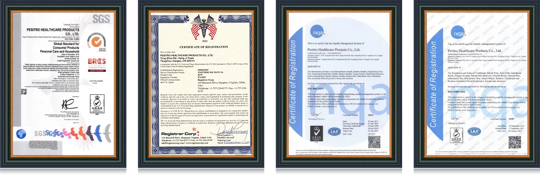 Company Overview - Pesitro Healthcare Products Co., Ltd.