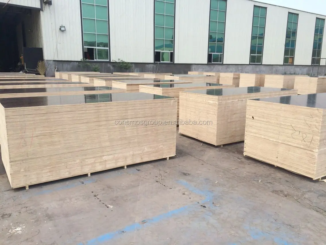 18mm Tego Film Faced Plywood - Durable and Versatile