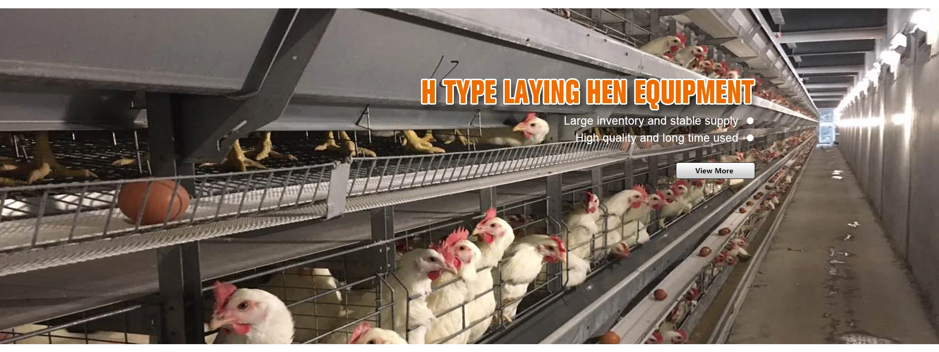 Shandong Tobetter Machinery Co., Ltd. - H Type Laying Hen Equipment, A ...