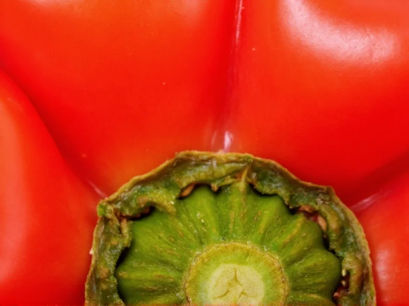 Bell Pepper Fiber Content: Color Variations and Practical Uses