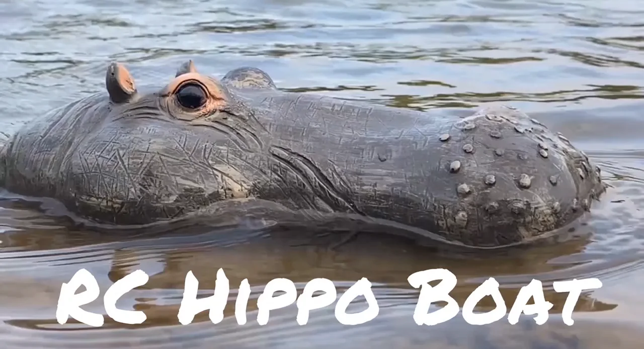 Flytec Cute V305 Simulation Hippo Rc Animal Boat Used In Lake And Pool ...