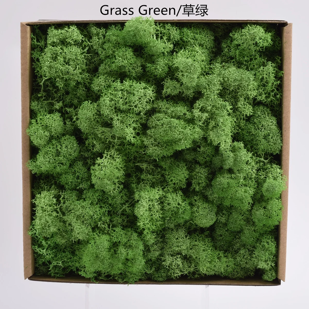 500g Decorative Preserved Moss in Box for Wall Decoration