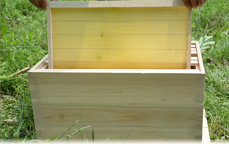 Marco de abeja con hoja de base de cera de abeja Marco de colmena de ...