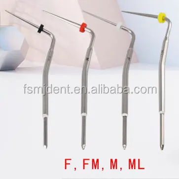 Dental Endodontic Obturation Tip/obturator Heart Plugger/ Fill ...