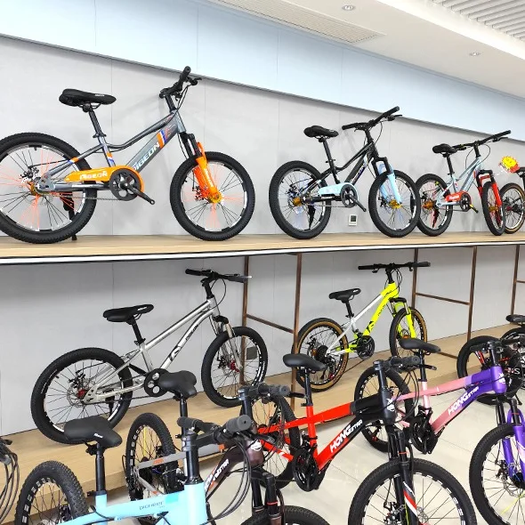 Company Overview - Hebei Xuxiang Bicycle Co., Ltd.