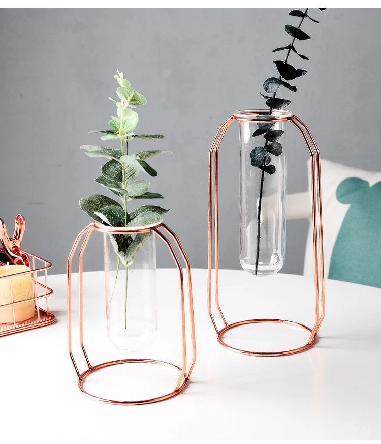 Decorative Glass Metal Test Tube Vases - Minimalist Style