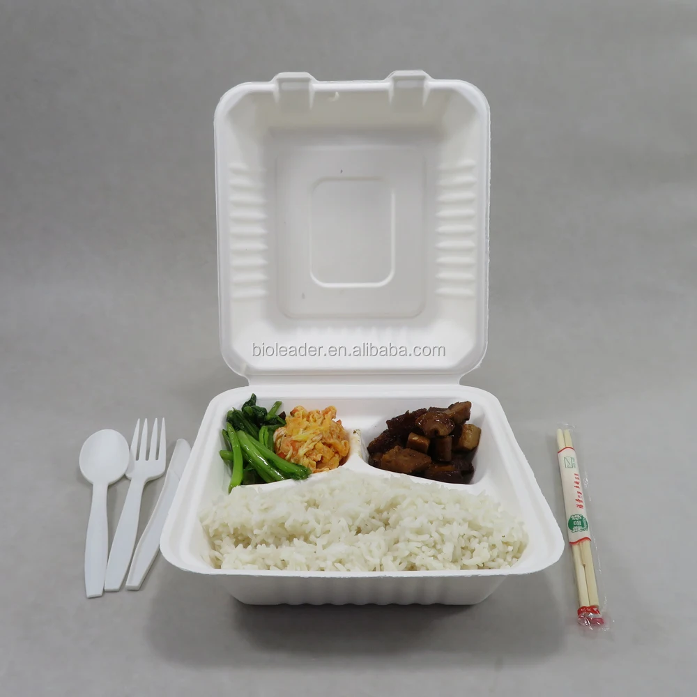 Disposable Biodegradable Sugarcane Pulp Molding Moulding Food Box Lunch ...