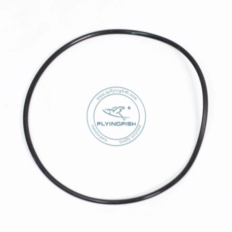 6ct8.3 High-pressure Fuel Pump Seal O Ring 3969698 3924605 3940386 ...