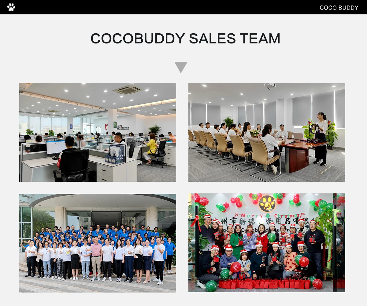 Company Overview - Dongguan Coco Buddy Pet Product Co., Ltd.