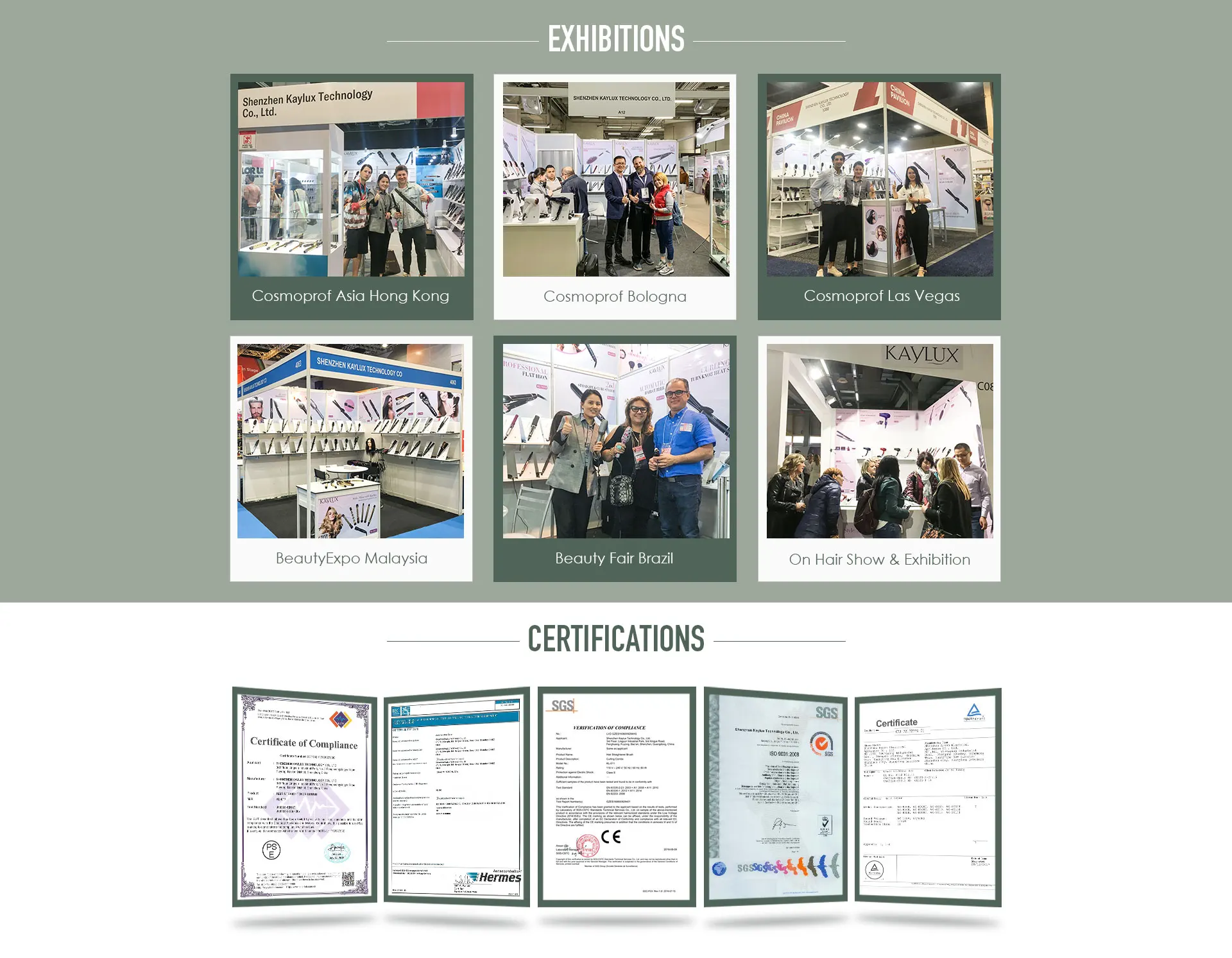 Shenzhen Kaylux Electric Appliance Co., Ltd. - hair straightener brush ...