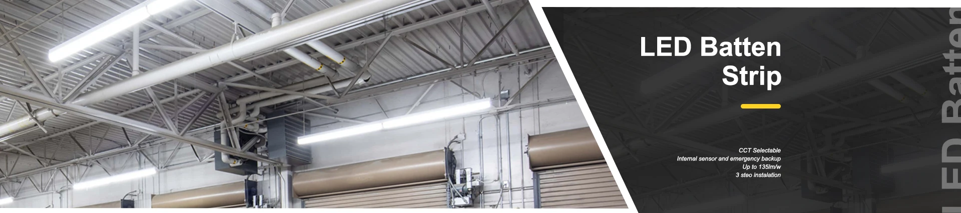 Jiangmen Brandon Lighting Co., Ltd.