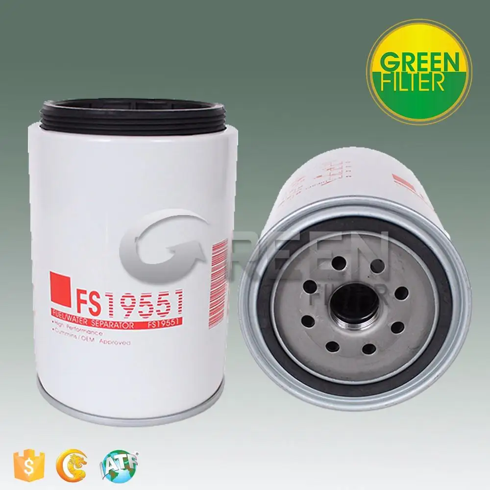 Fuel Filter Diesel Engine Parts Fs19551 1518512 3989632 20569040 ...