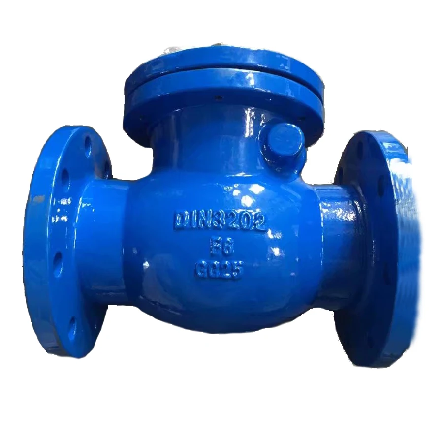 DN100 Swing Check Valve - Ductile Iron Body & Metal Seat