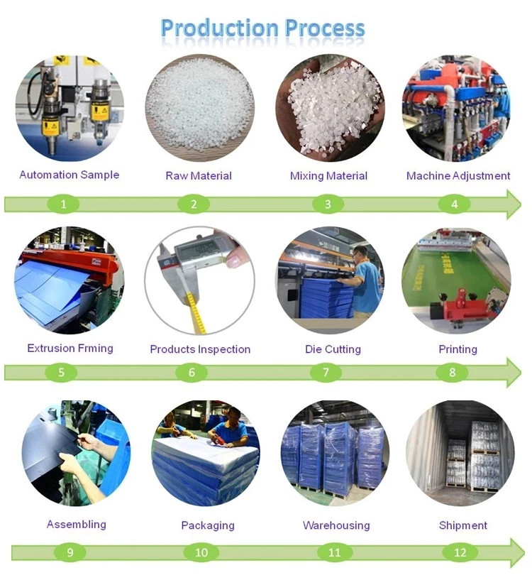 Chloroplast Plastic Board - Educational Model & Signage