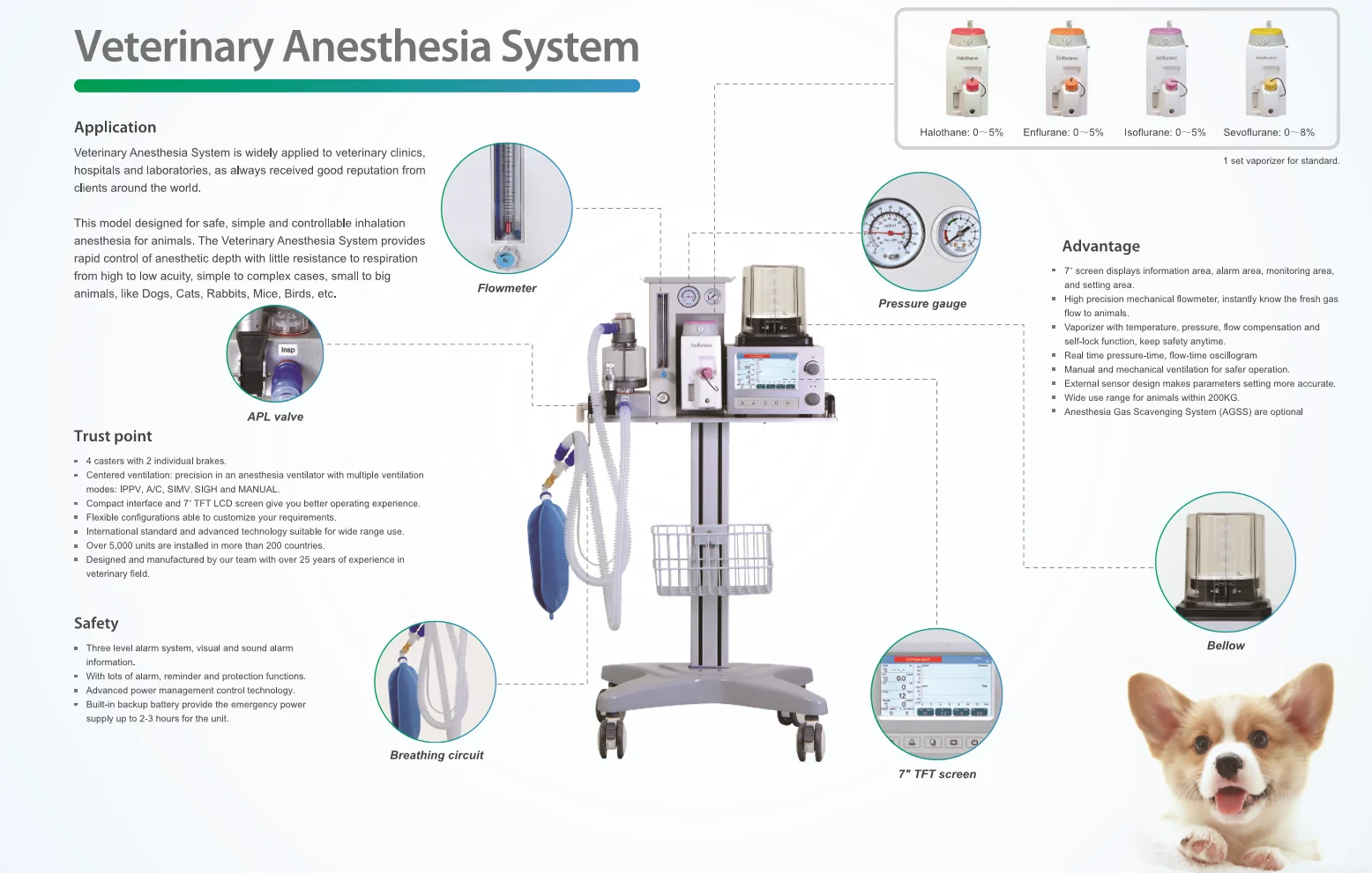 Medical Veterinary Anesthesia System - Buy Portable Veterinary ...