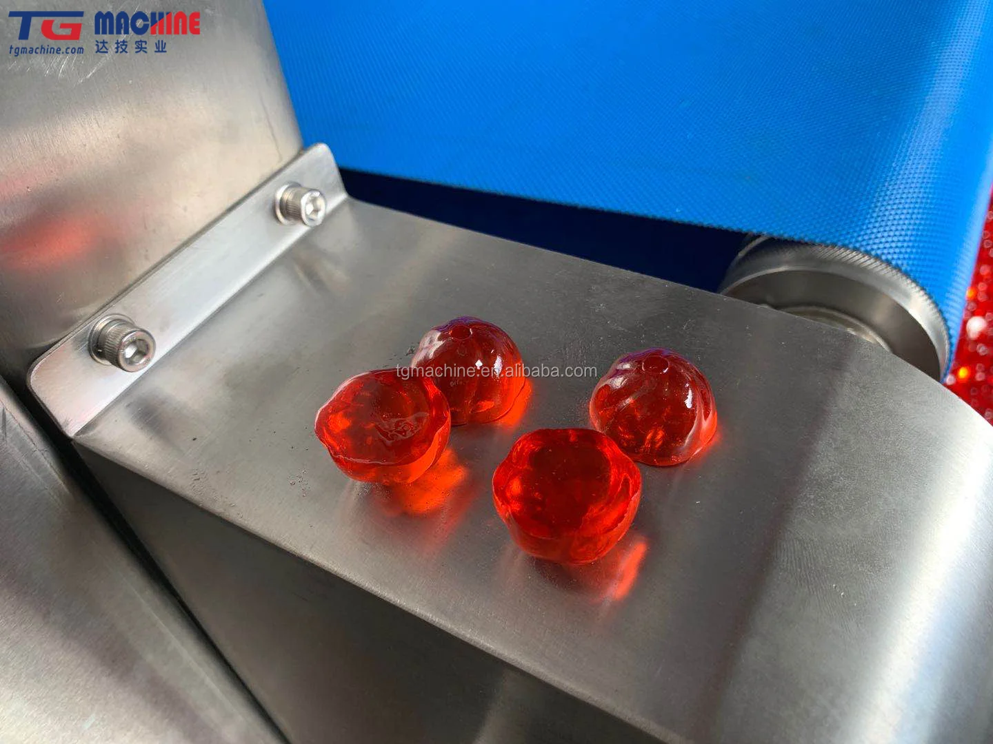 Tg Fully Automatic Gummy Making Machine Jelly Gummy Candy Depositing ...