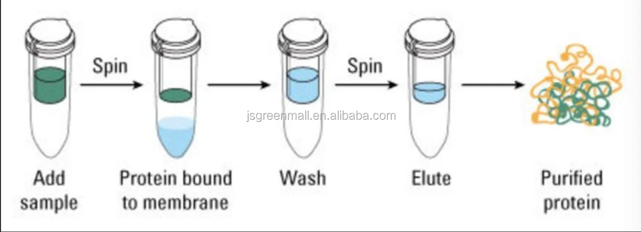 2ml Nucleic Acid Purification Column - Efficient DNA RNA Extraction