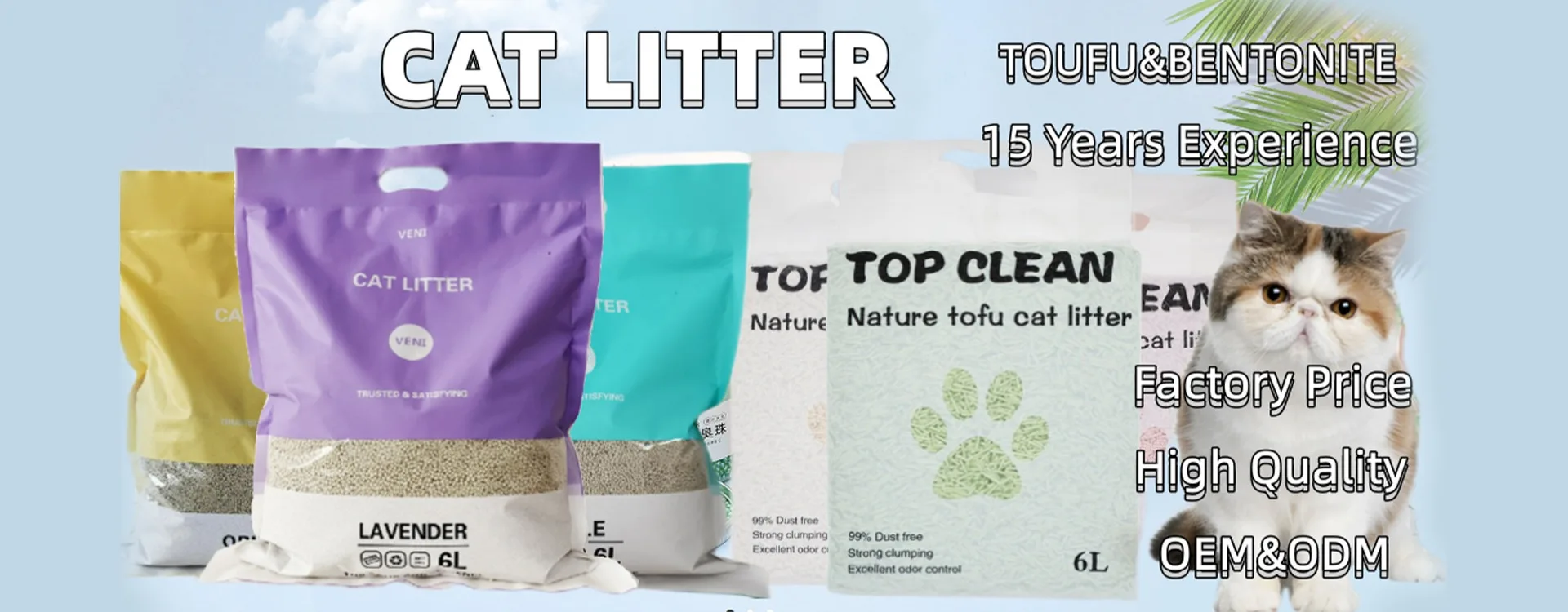 Company Overview - Shijiazhuang Bocen Trade Co., Ltd.