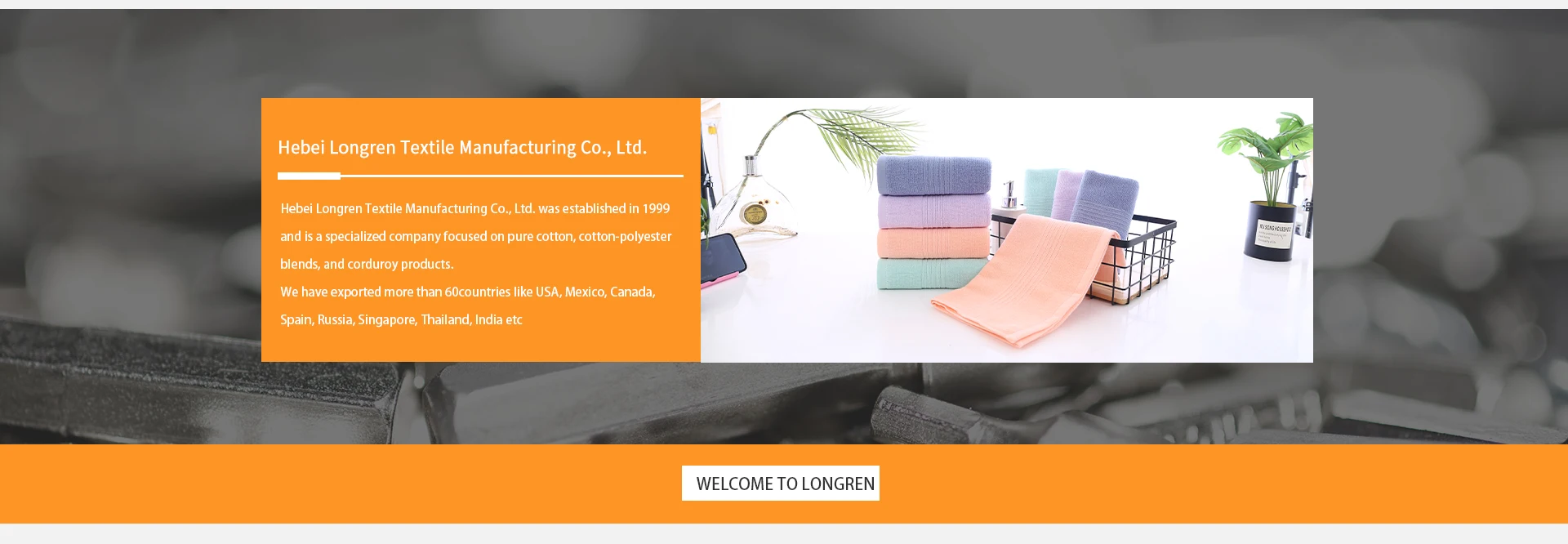 Company Overview - Gaoyang County Longren Towel Textile Store