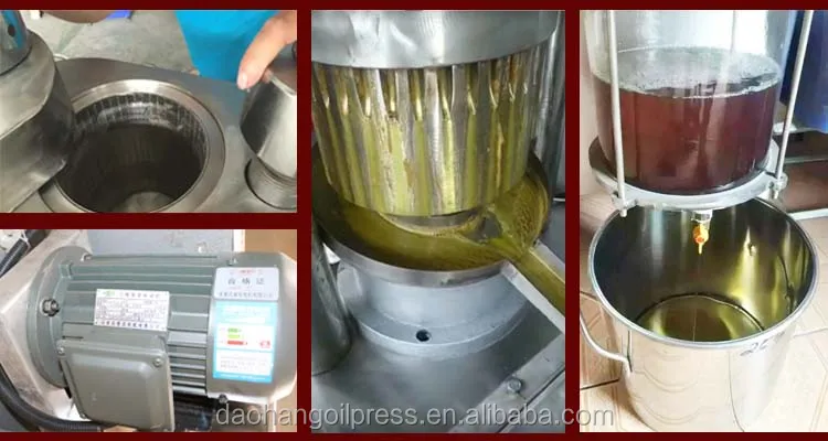 Small Olive Oil Extraction Machine - Efficient & Durable