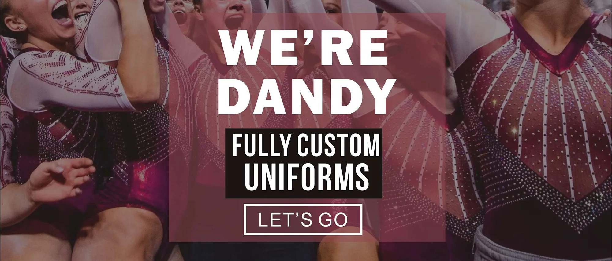 Company Overview - Guangzhou Dandy Sporting Goods Ltd.